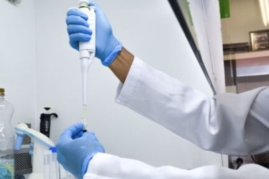 UFG cria tratamento inédito para combate a casos graves de dengue - via ...
